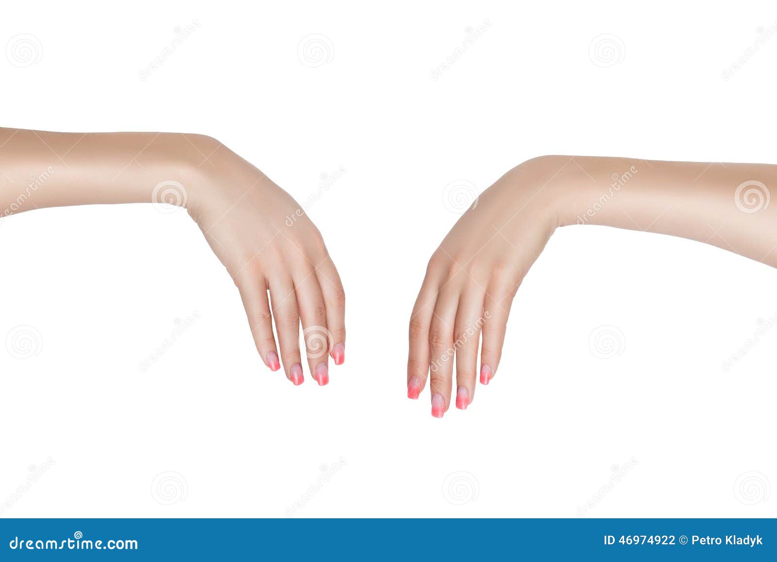 Two female hands. stock photo. Image of leather, gules - 46974922