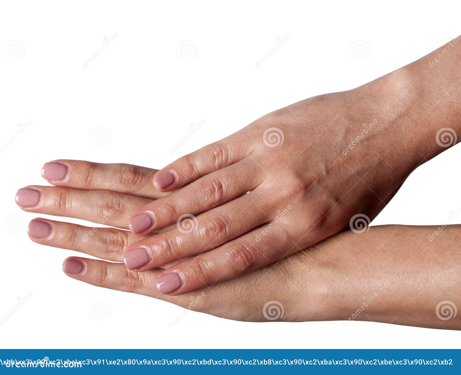 Two Female Hands in Elegant Pose. Stock Image - Image of treatment ...