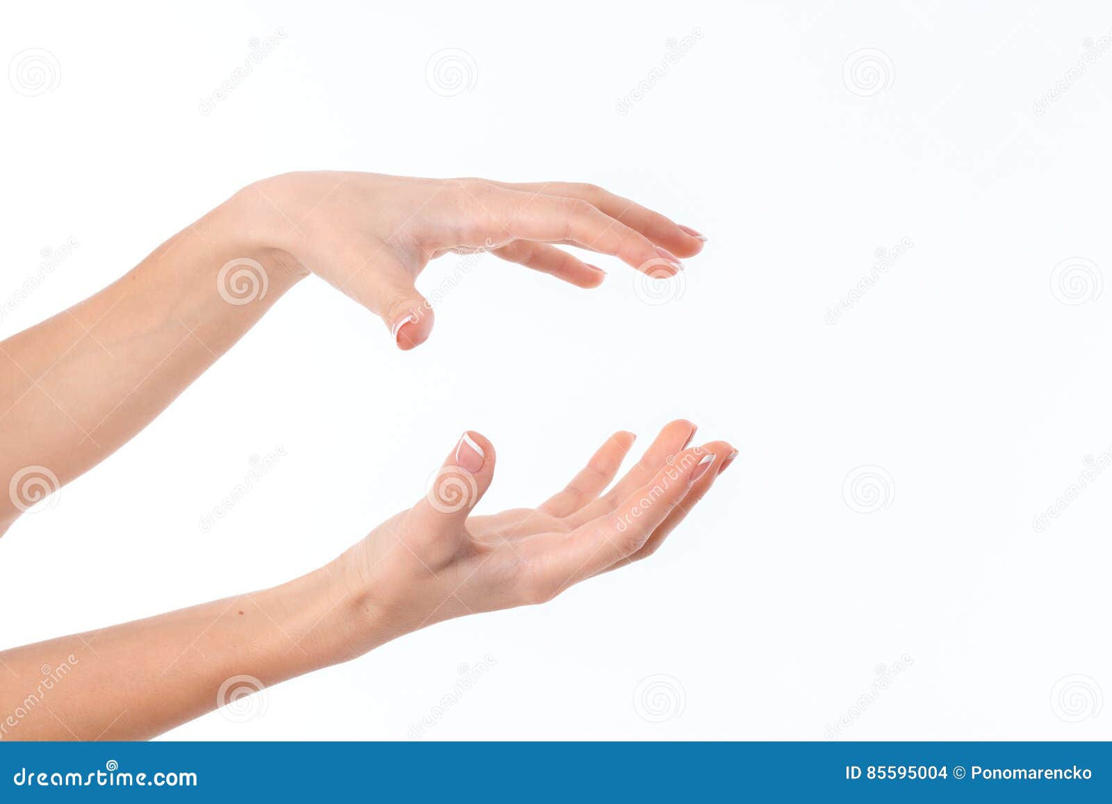 Two Female Hands One Opposite the Other Stock Photo - Image of ...