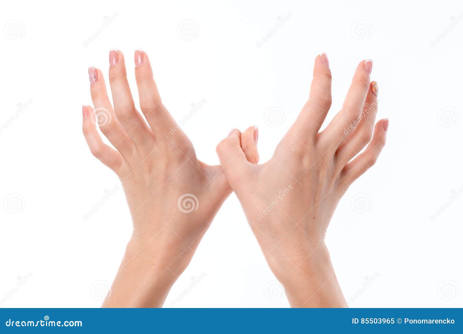 Two Female Hands Outstretched Forward with Raised Upward Stock Image ...