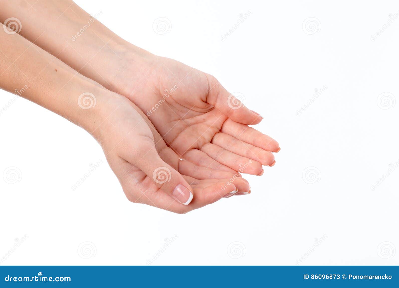 Two Female Hands Outstretched Palms Deployed Isolated on White ...