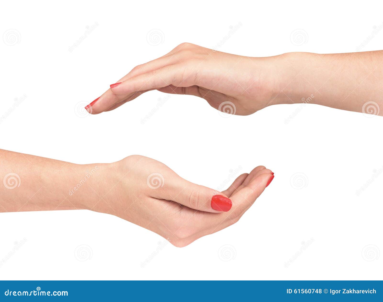 Two Female Hands Protecting a Gesture Stock Photo - Image of offer ... Two Female Hands Protecting a Gesture Stock Photo - Image of offer ...