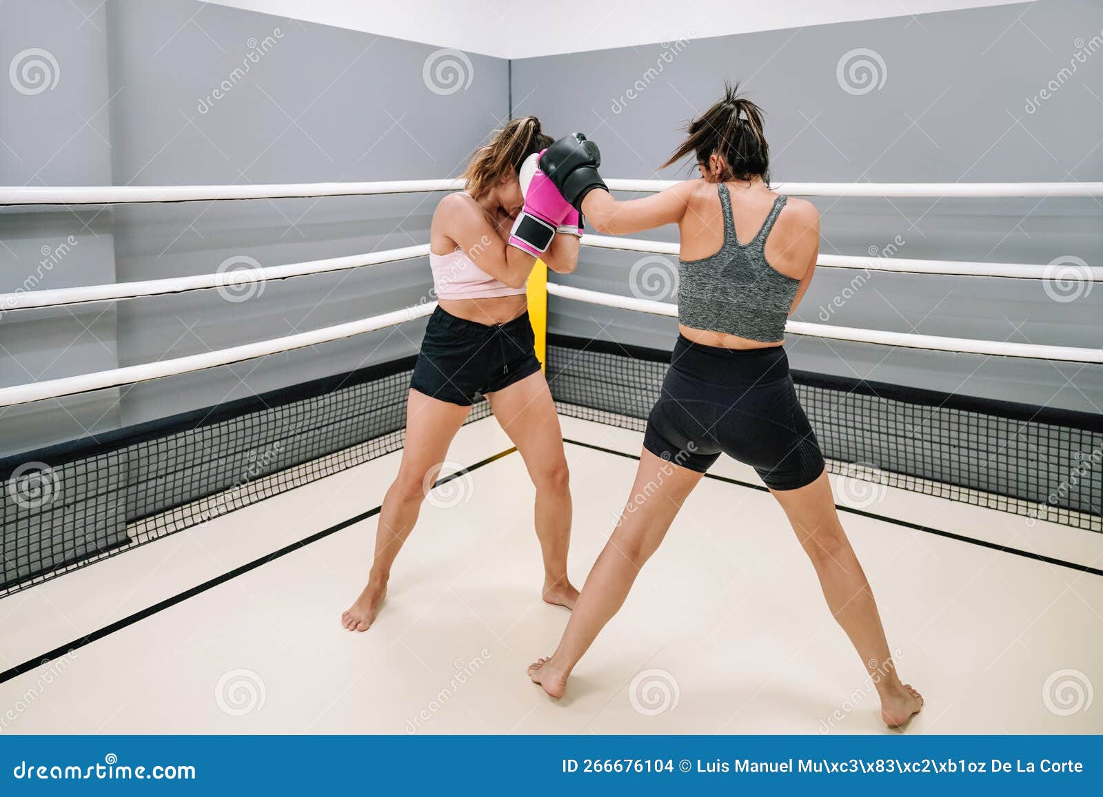 Two Female Kickboxers Practicing Punching Each Other in a Ring Stock ...