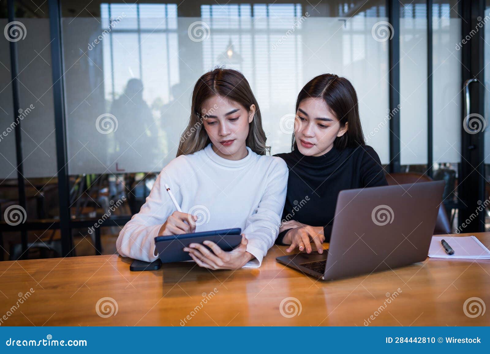 Two Woman Professionals Working Together in a Collaborative Workspace ...