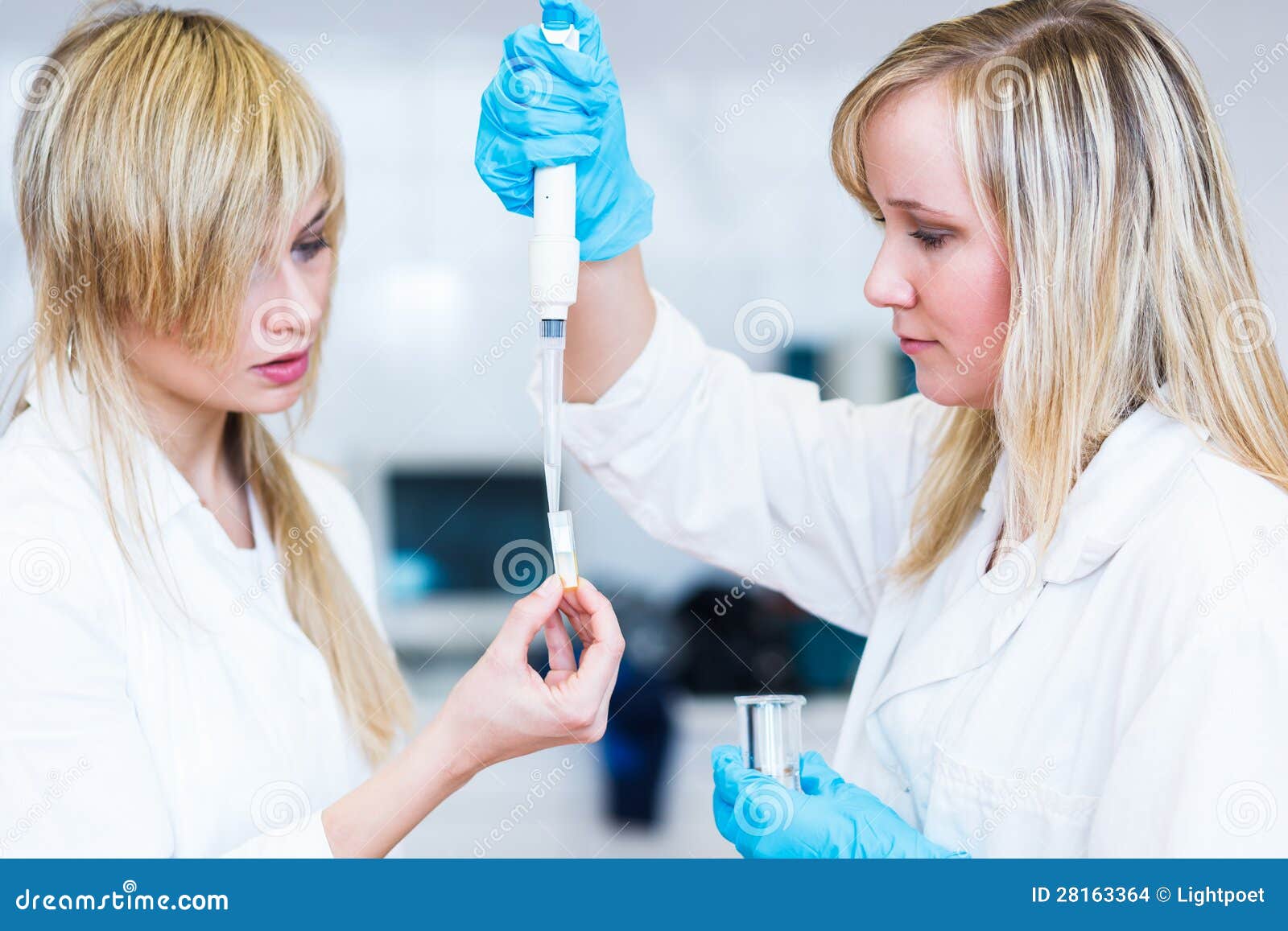 Two Female Researchers Working in a Laboratory Stock Photo - Image of ...