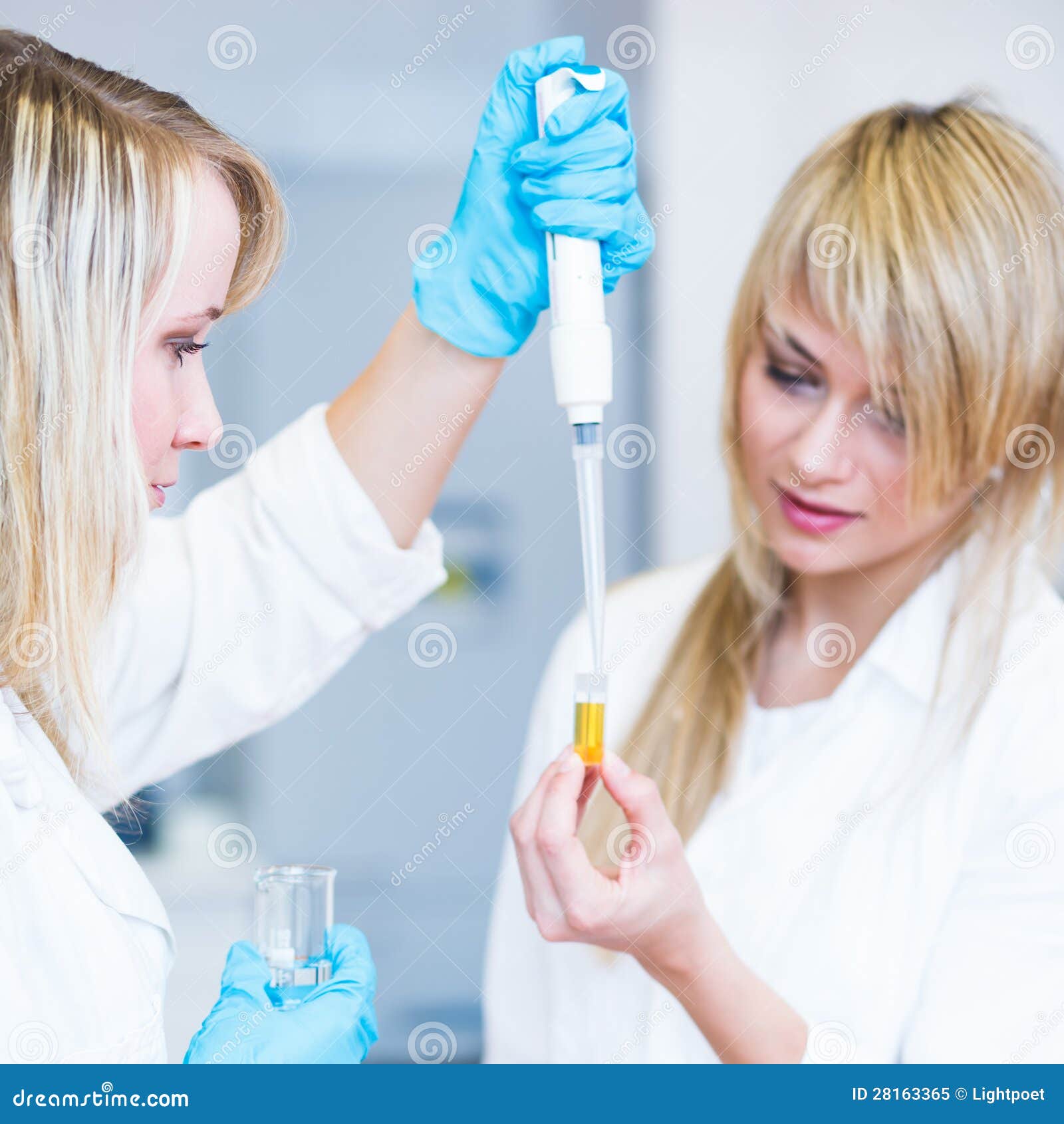 Two Female Researchers Working in a Laboratory Stock Image - Image of ...