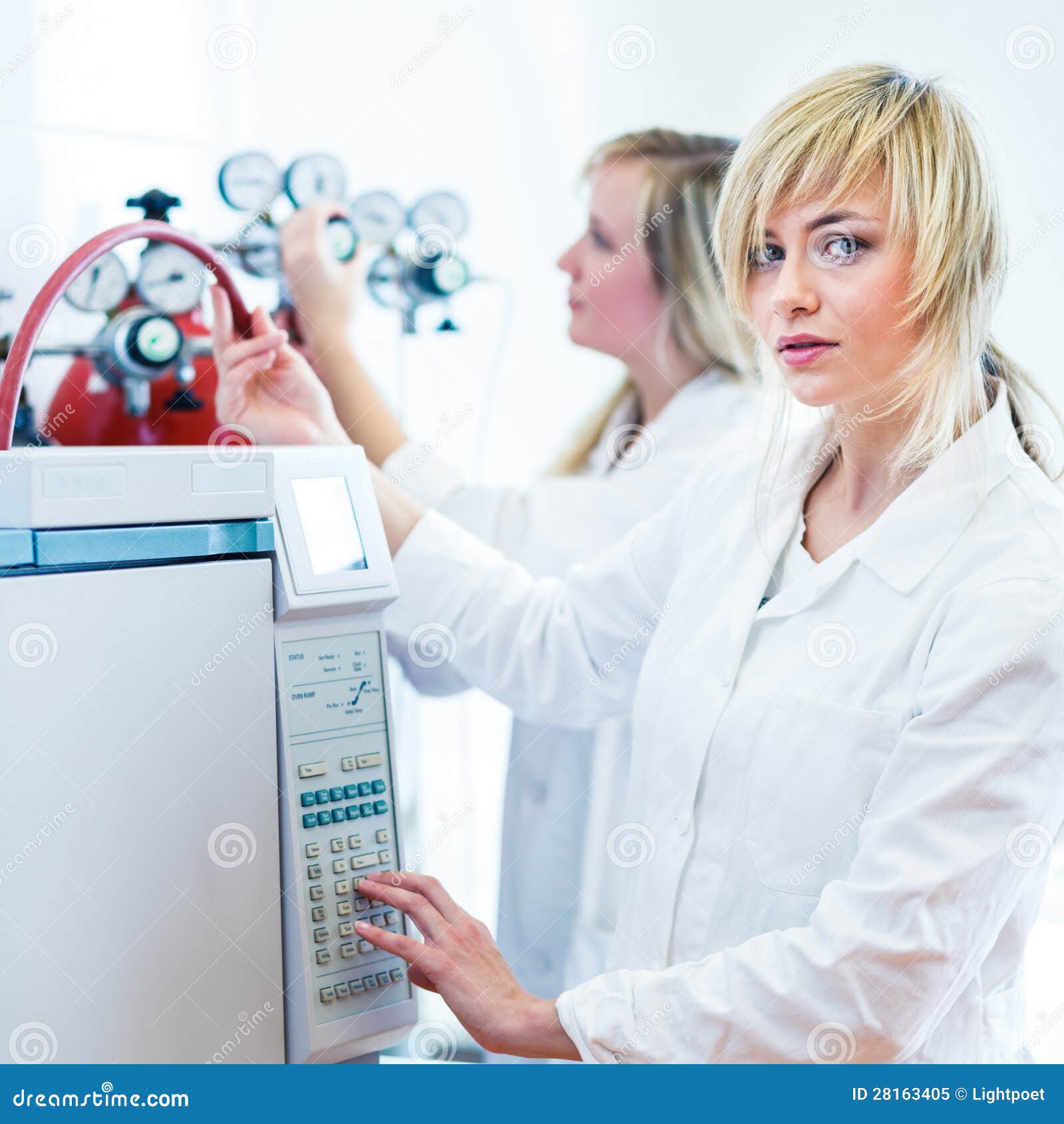 Two Female Researchers Working in a Laboratory Stock Image - Image of ...