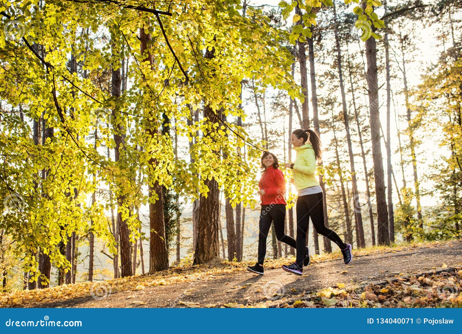 Two Female Runners Jogging Outdoors in Forest in Autumn Nature. Stock ...
