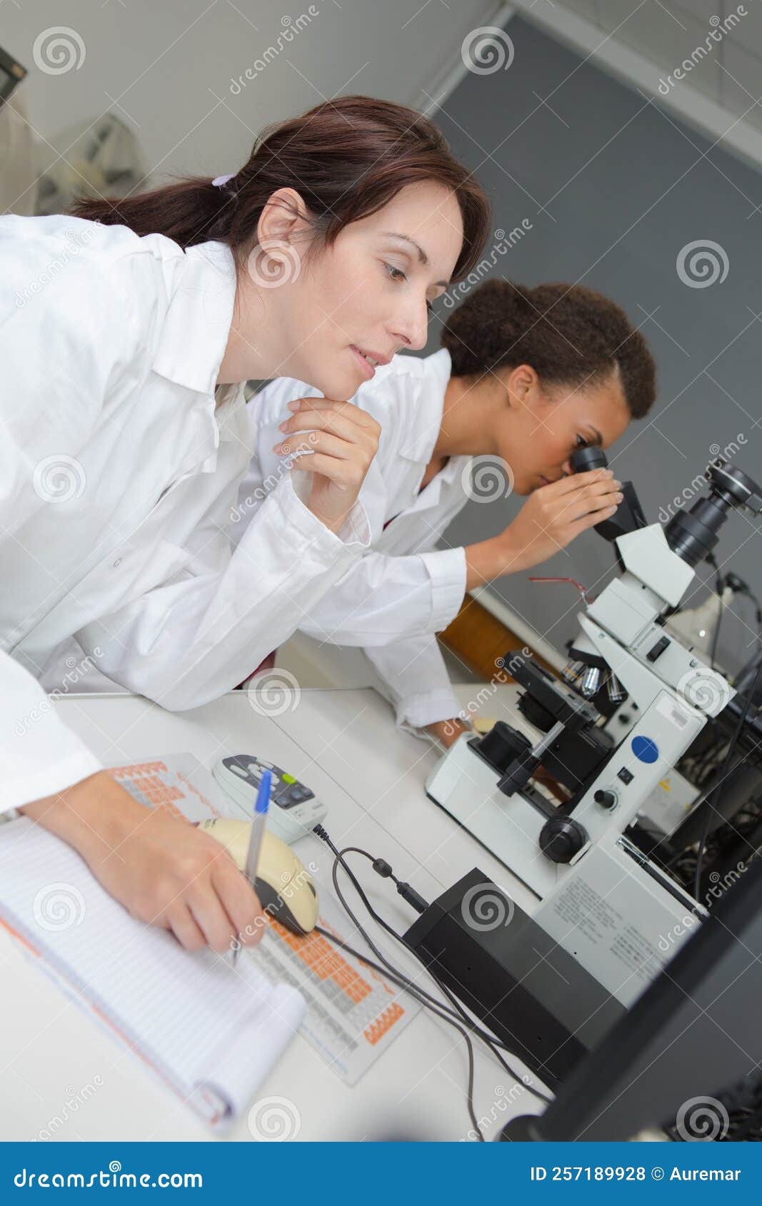Two Female Scientist in Lab Stock Photo - Image of caucasuan, chemistry ...
