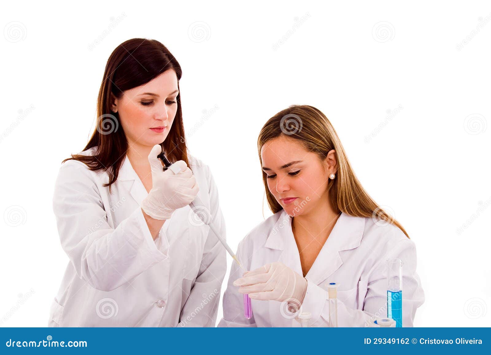 Two female scientists stock photo. Image of people, look - 29349162