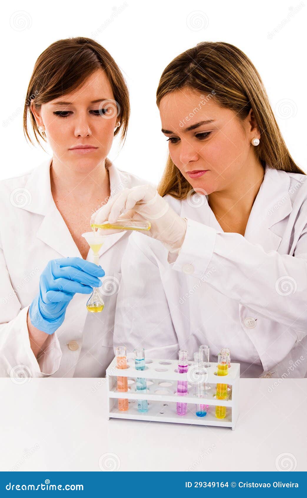 Two female scientists stock photo. Image of biology, people - 29349164