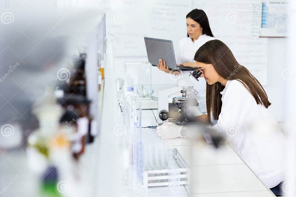 Two Scientists Working in Lab with Microscope and Laptop Stock Photo ...