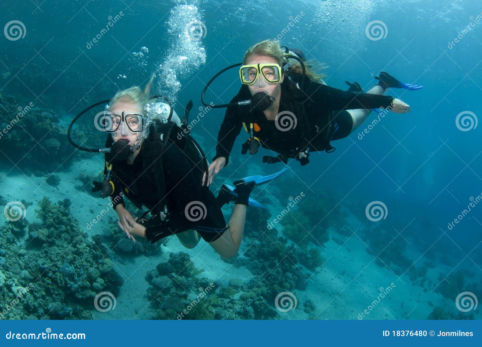 Two Female Scuba Divers Dive Together Stock Photo - Image of sisters ...