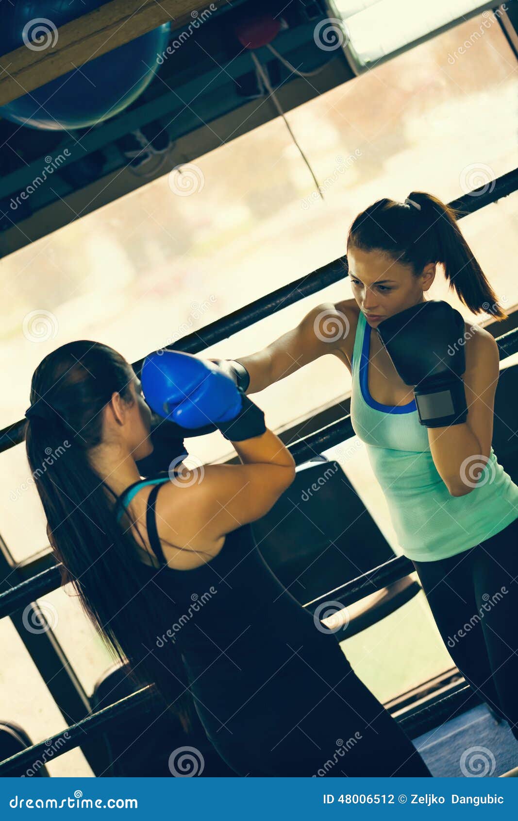 Two Female Sparring stock photo. Image of combative, indoors - 48006512