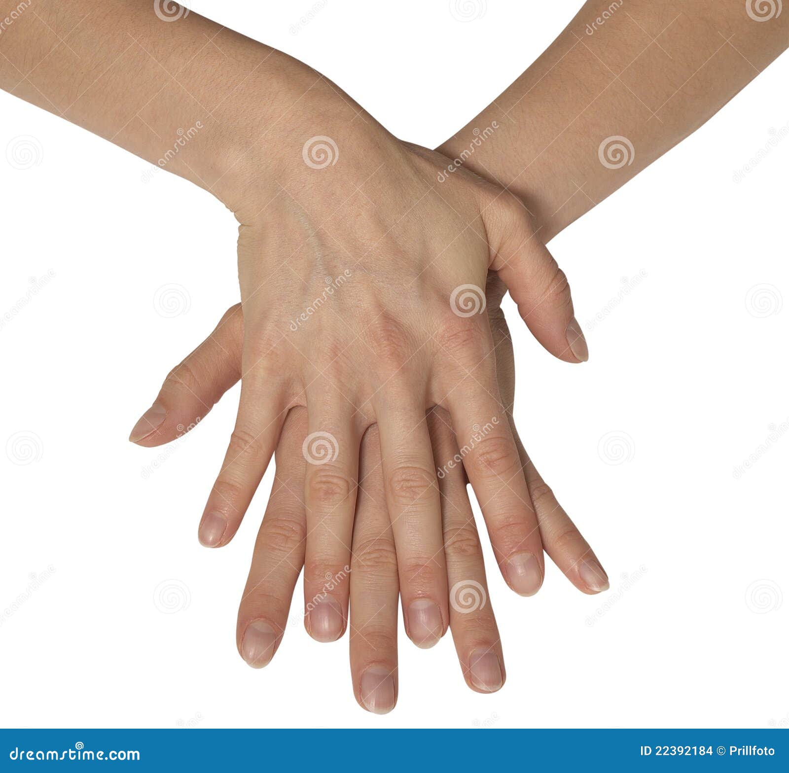 Two feminine hands stock photo. Image of human, hand - 22392184