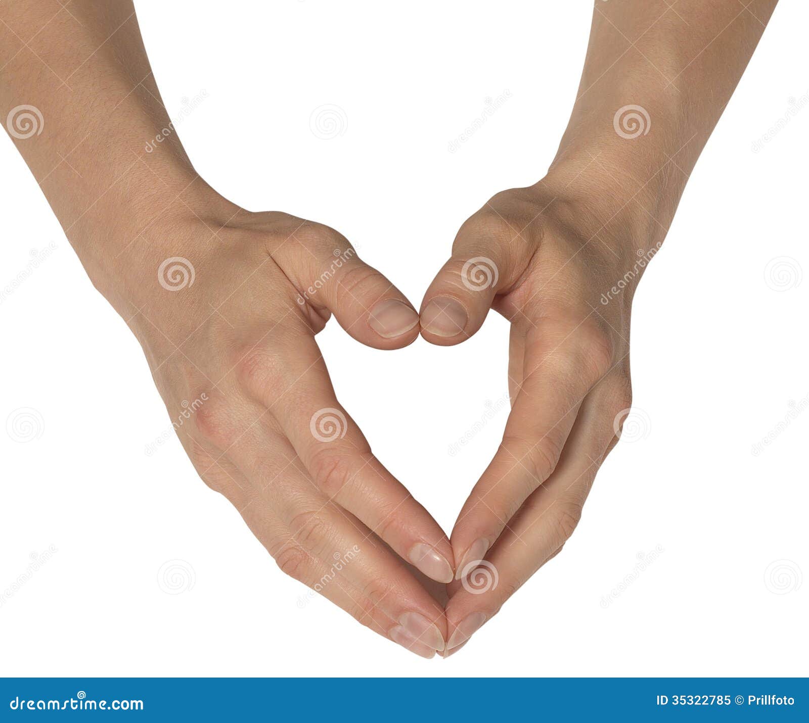 Two feminine hands stock image. Image of femininity, human - 35322785
