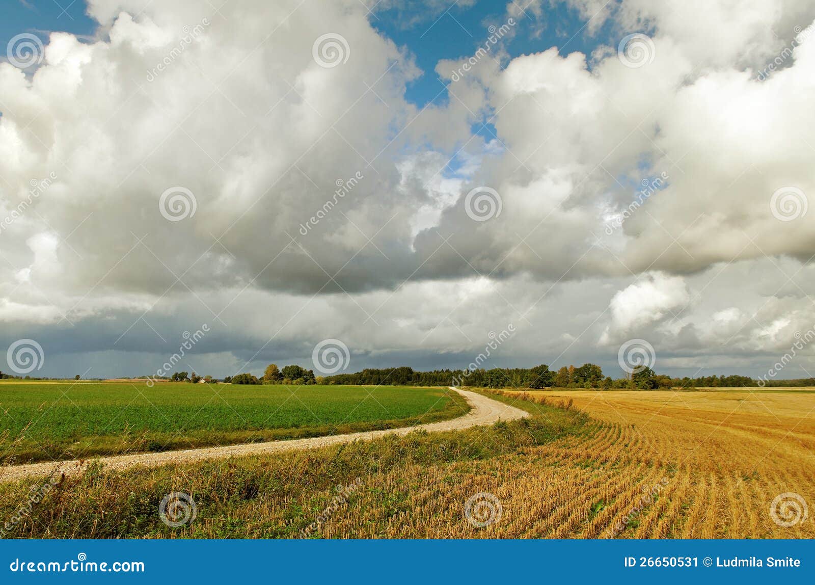 Between two fields. stock image. Image of perspective - 26650531