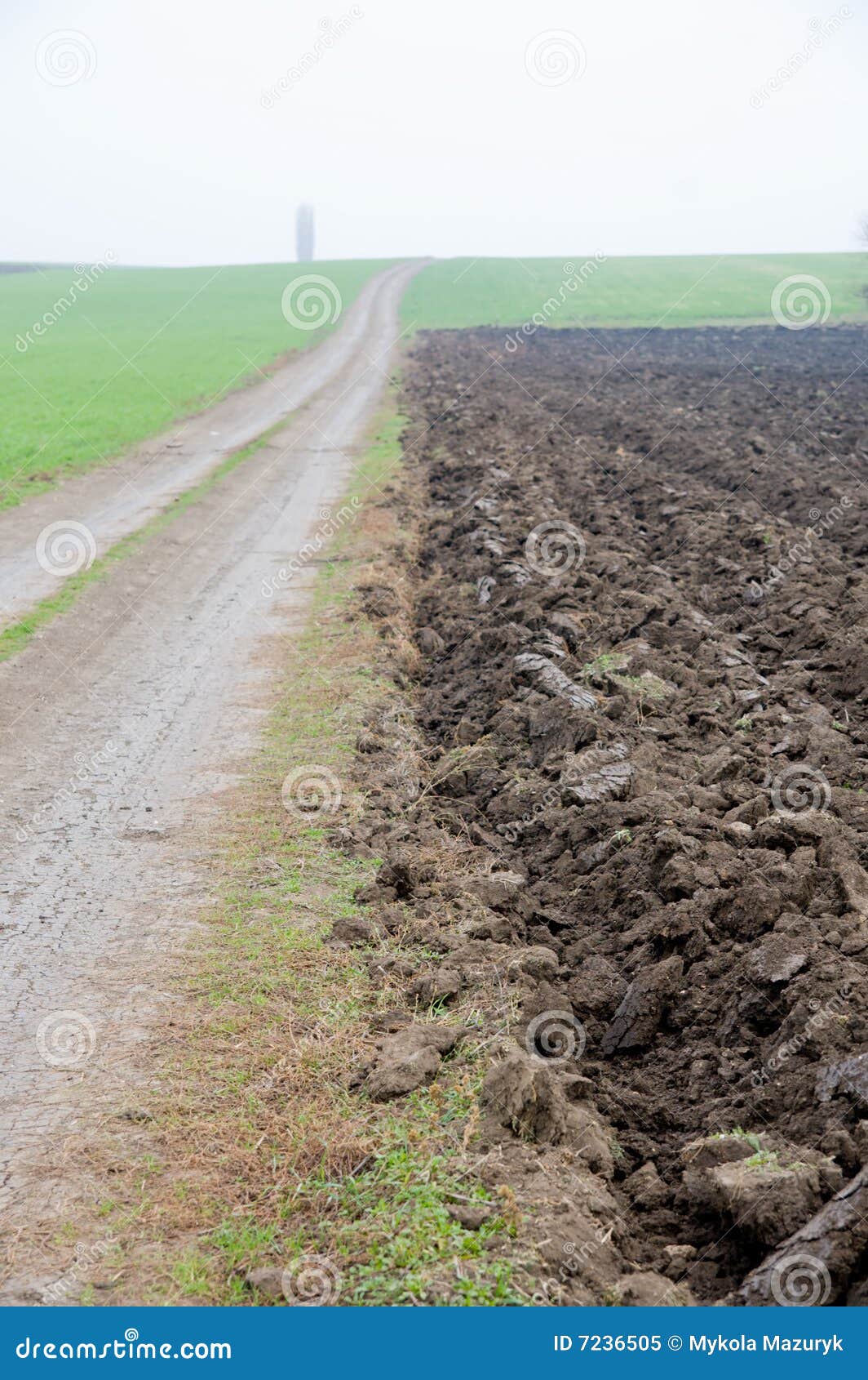 Two fields stock image. Image of cereal, drought, dirt - 7236505