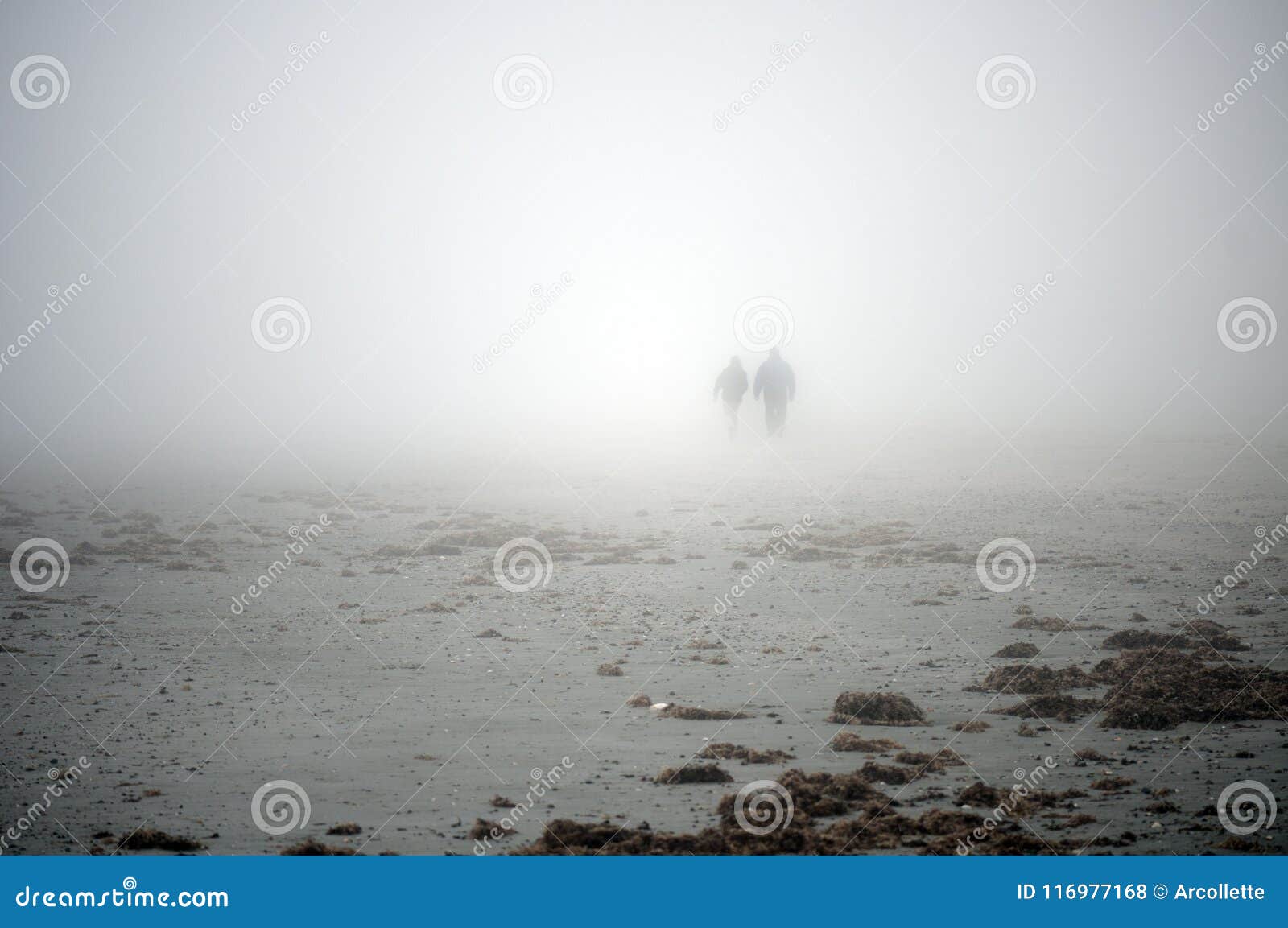 Two Figures in Fog stock photo. Image of walking, sand - 116977168