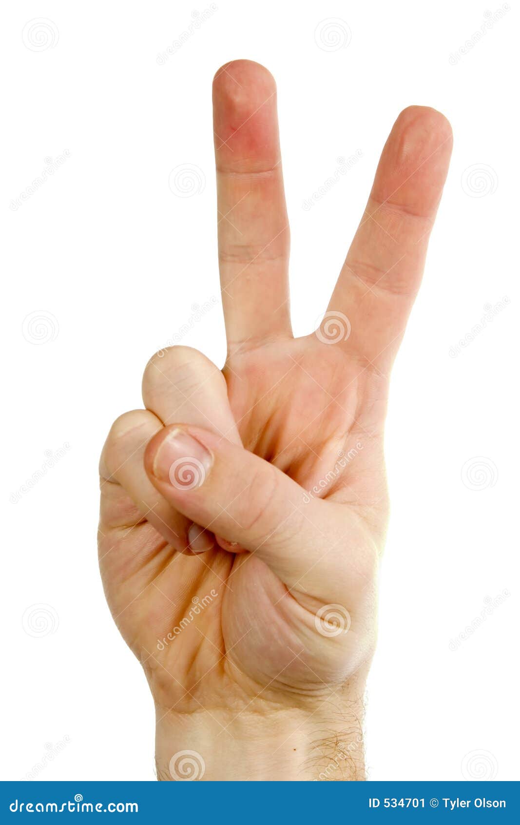 Two Fingers stock image. Image of victory, body, language - 534701