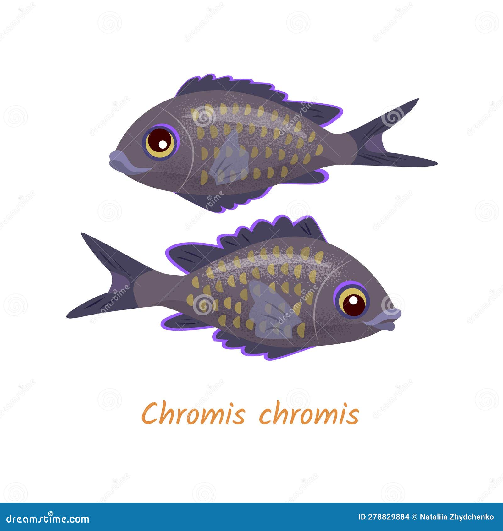 Two fish illustration stock vector. Illustration of sign - 278829884