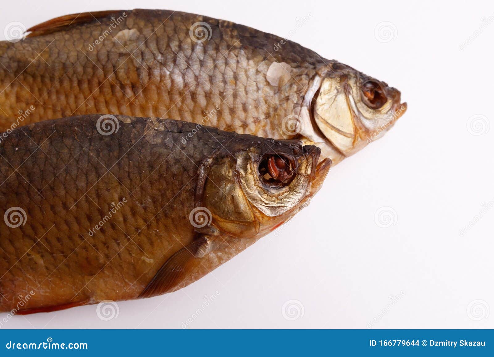 Two fish. isolated stock photo. Image of scale, body - 166779644