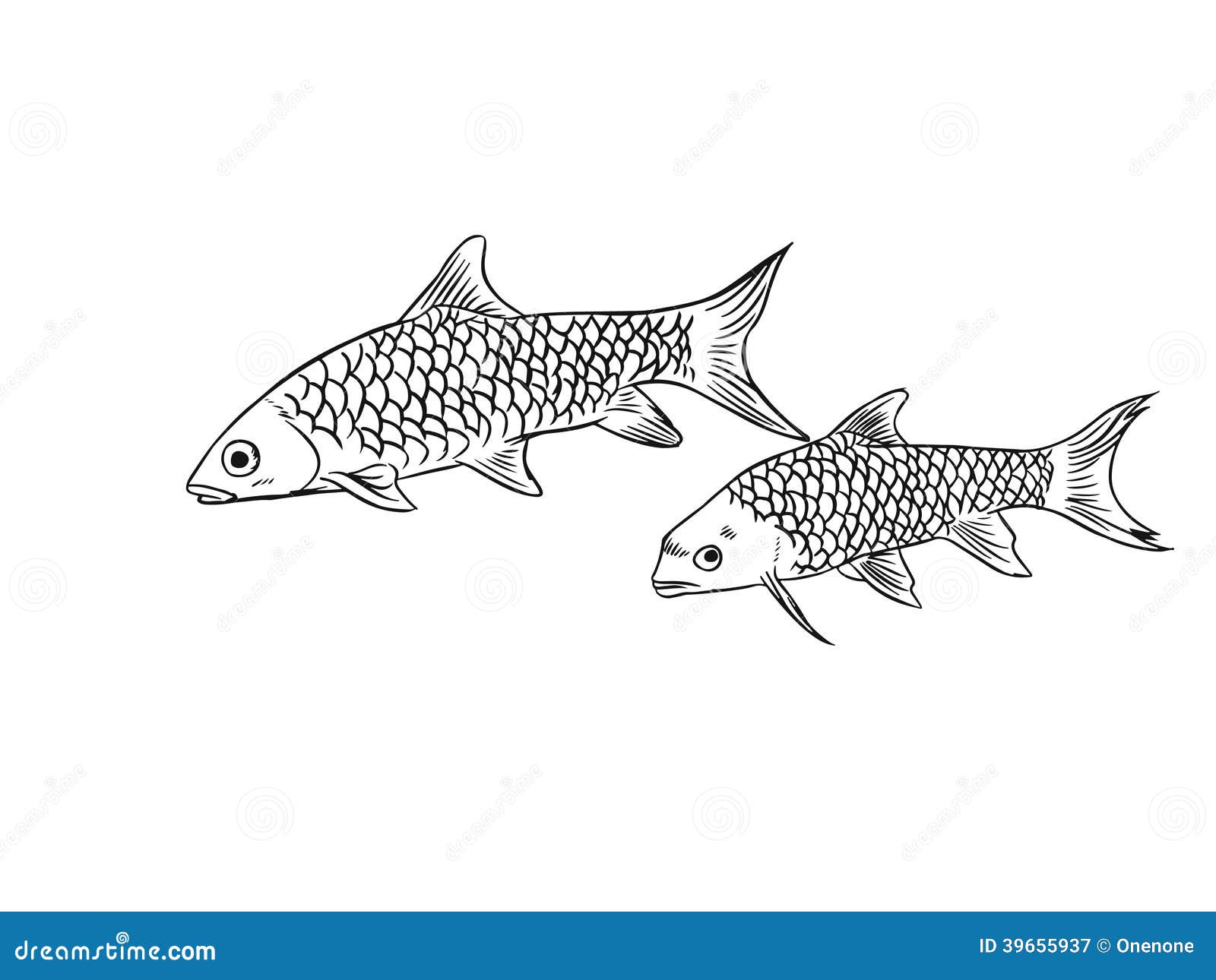 Two fish outline stock vector. Illustration of mascot - 39655937