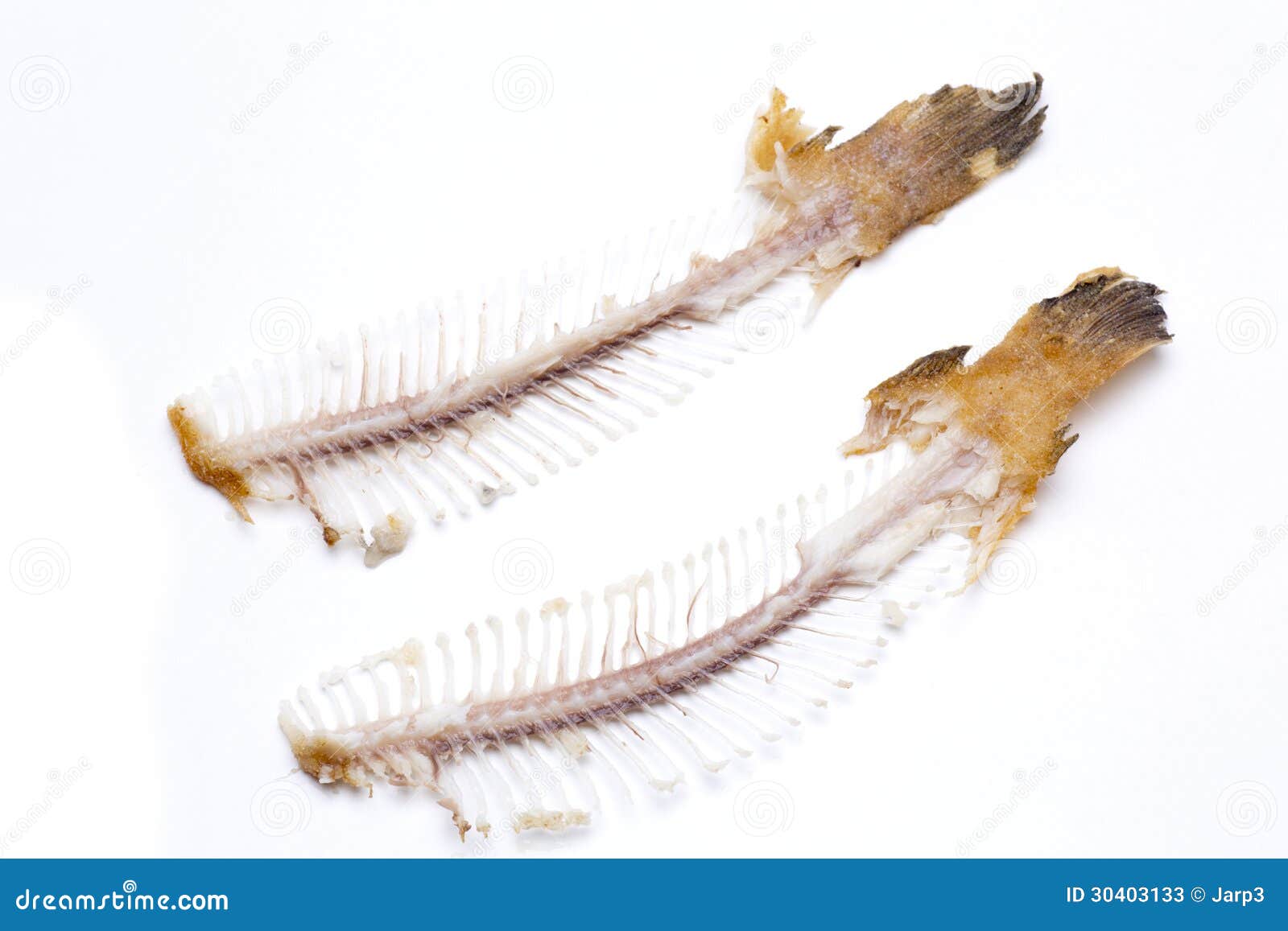 Two fishbone sole stock image. Image of food, seafood - 30403133