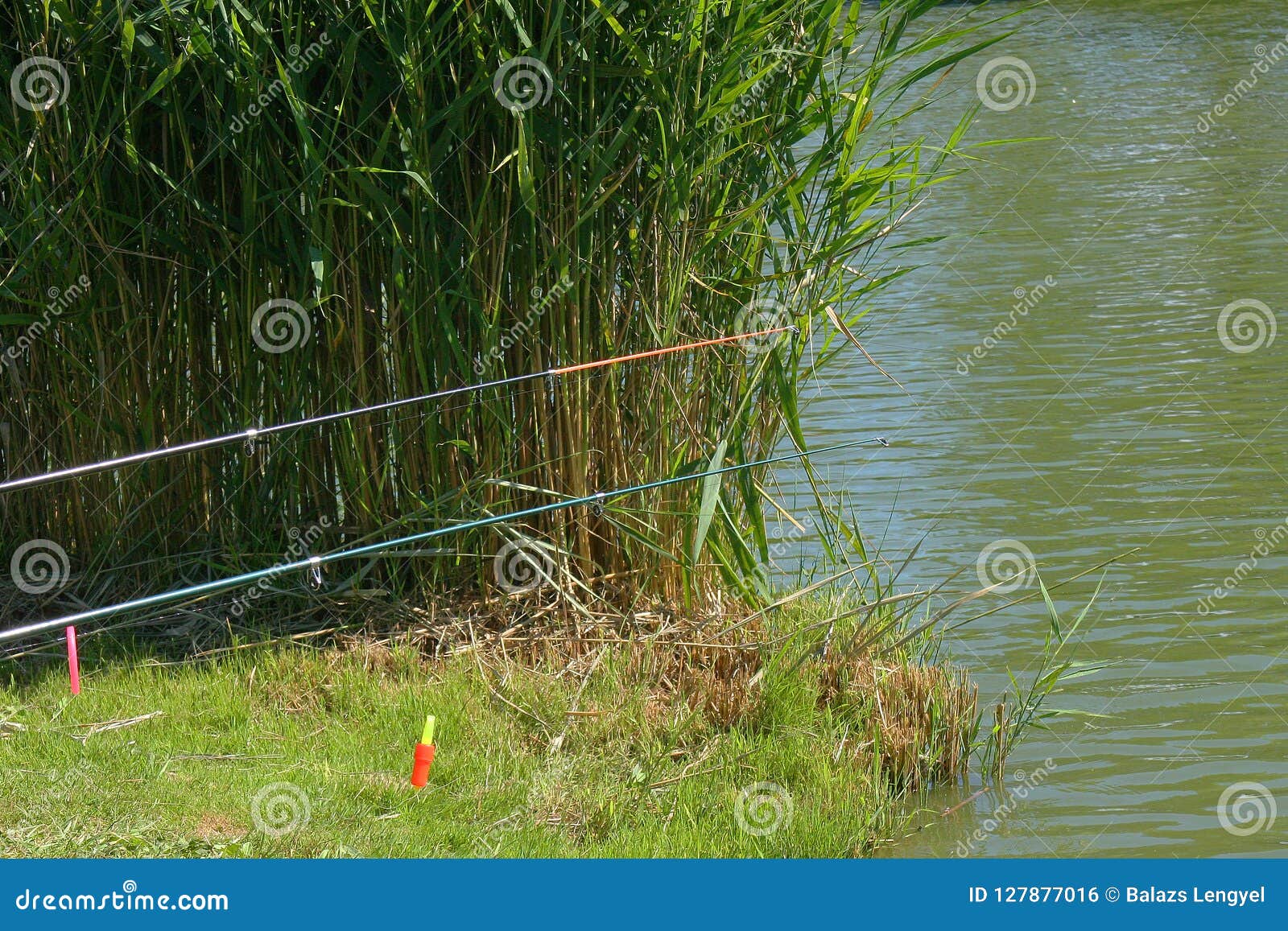 Two Fishing Rods at the Lake. Stock Photo - Image of park, relax: 127877016