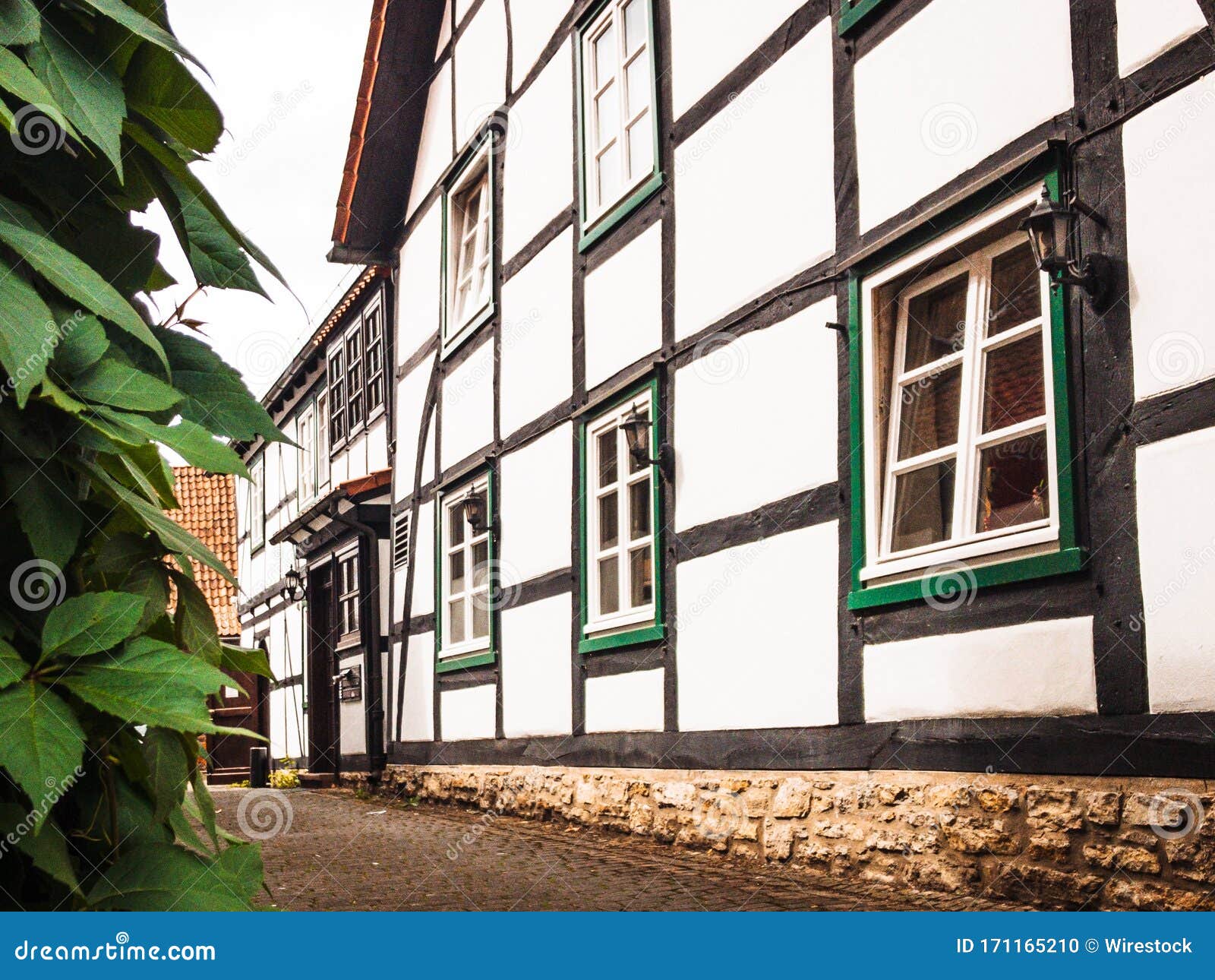Two-floored Building with a White Facade and Square Windows Leafs Stock ...
