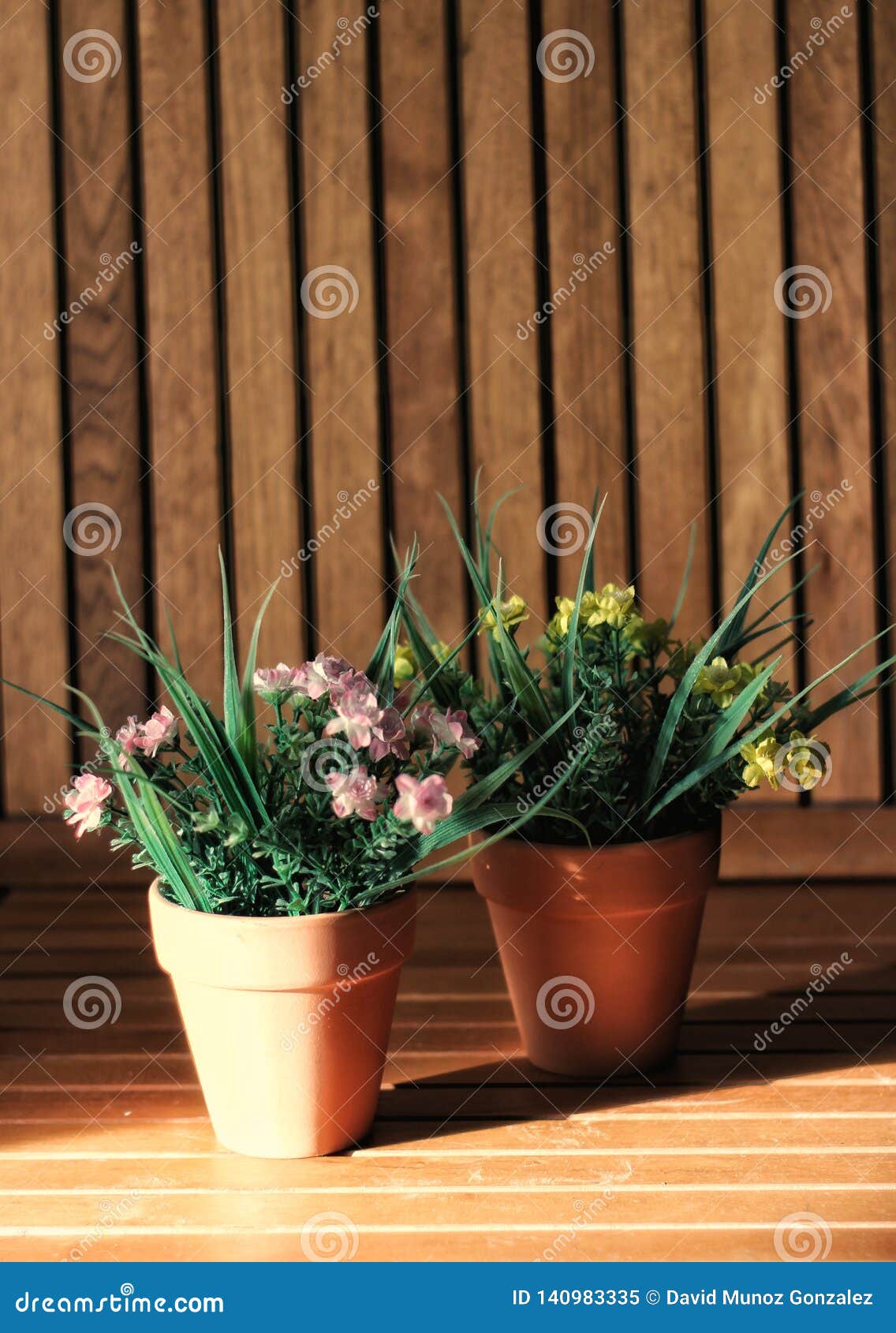 Two flower pots. stock image. Image of flowers, wood - 140983335