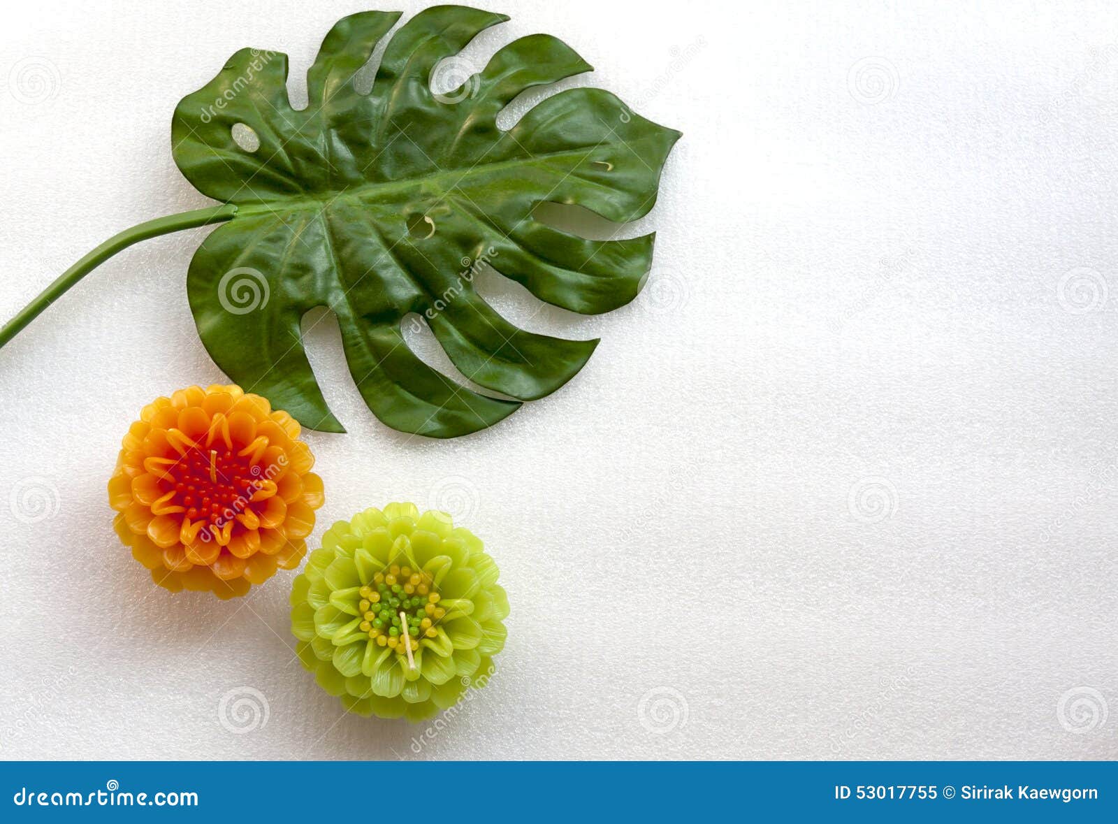 Two Flowers and leaf set stock image. Image of candles - 53017755