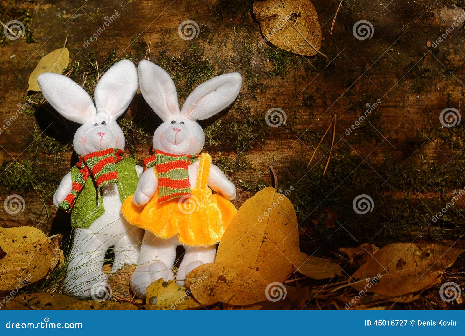 Two fluffy rabbits stock image. Image of cuddly, yellow - 45016727