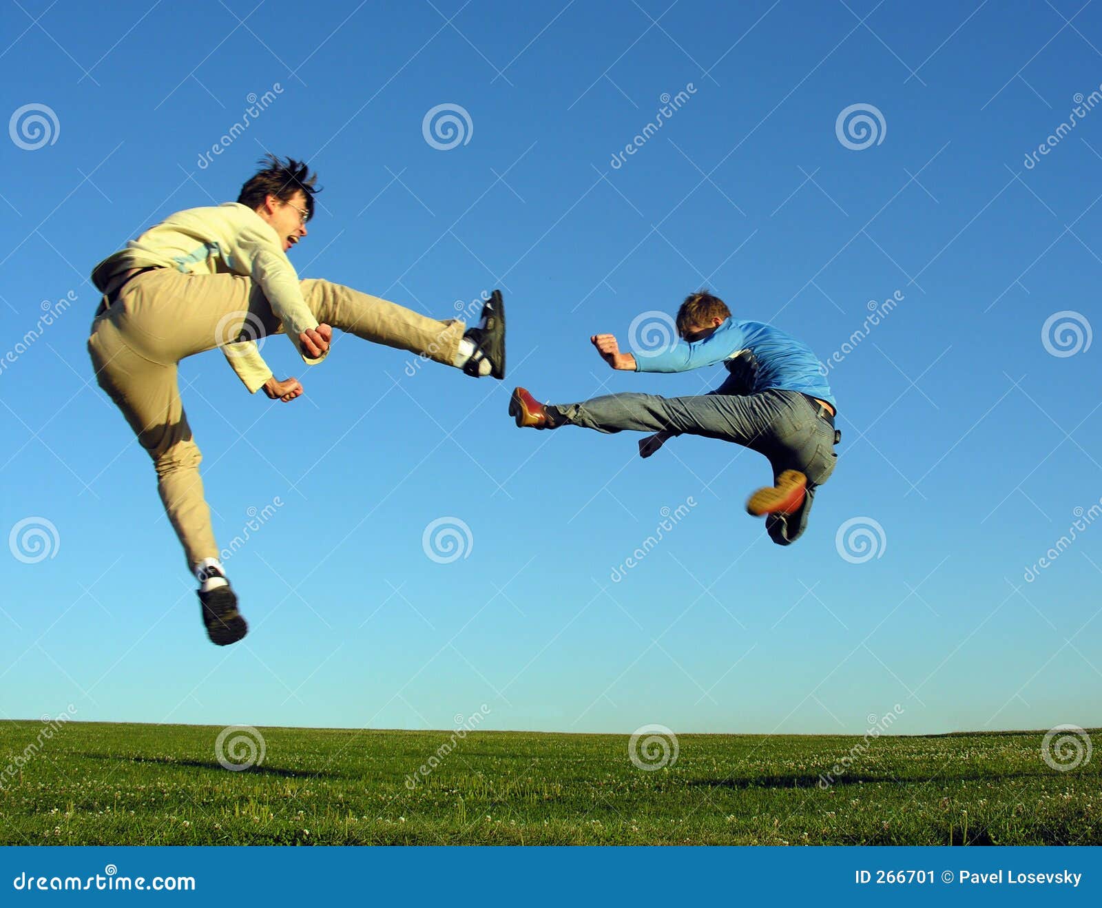 Two fly fight man stock image. Image of achievement, duel - 266701