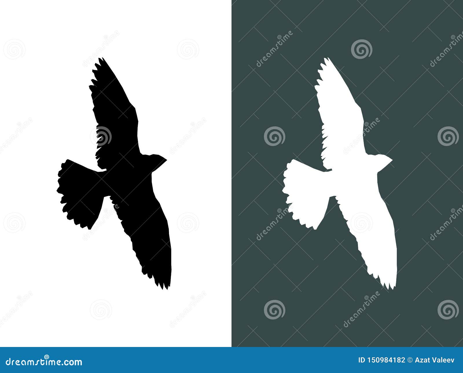 Shadow of Flying Bird. Vector Set Stock Illustration - Illustration of ...