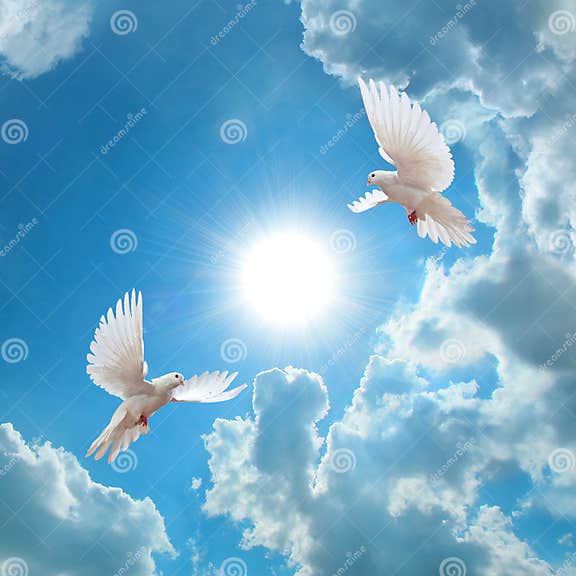 Two flying doves stock image. Image of wing, peace, freedom - 193134645