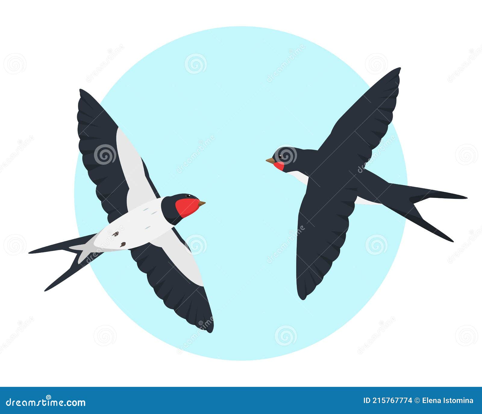Set Of Flying Swallows. Flock Of Martlet Birds Cartoon Vector ...