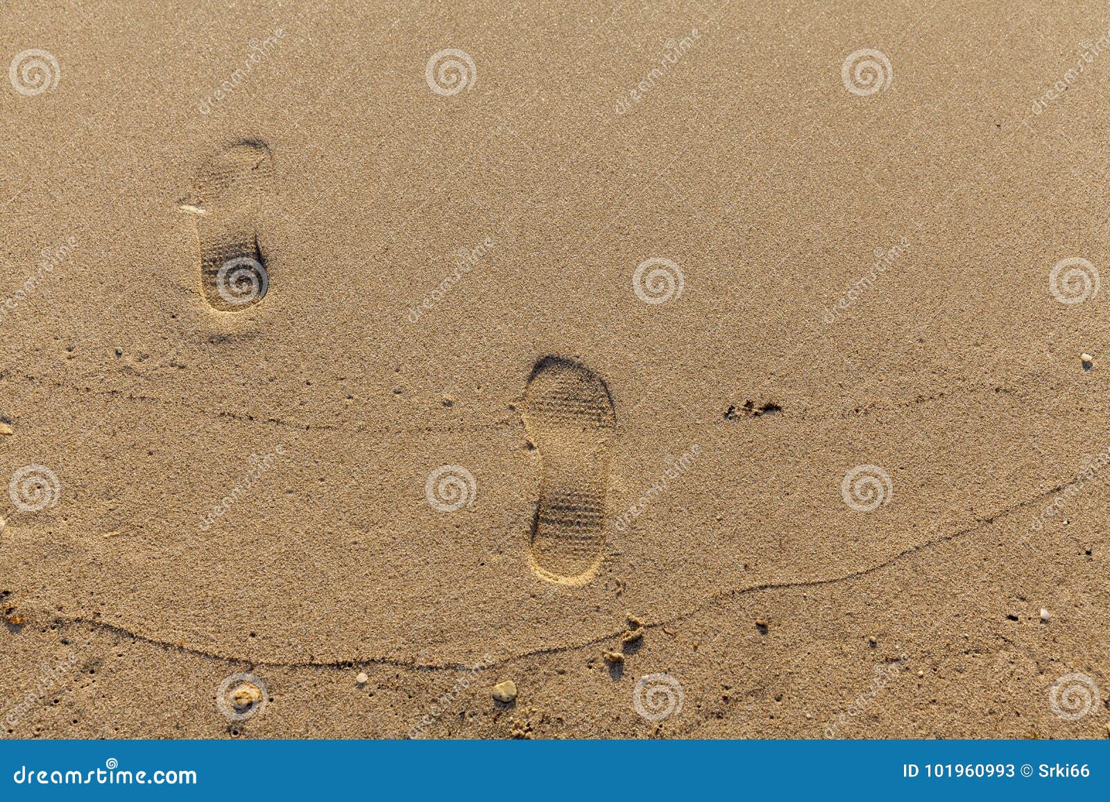Two Footprint in Send on Beach Stock Image - Image of footprint, nature ...