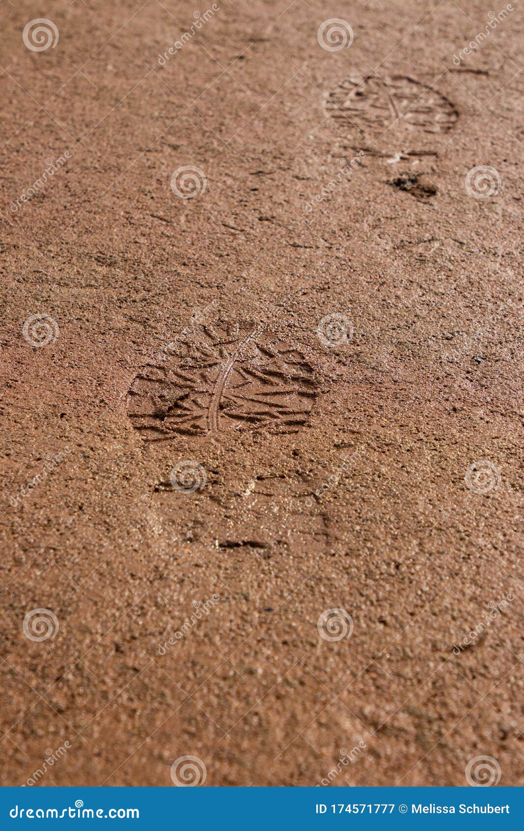 Damp Sand With Yellow-orange Colour Royalty-Free Stock Photo ...