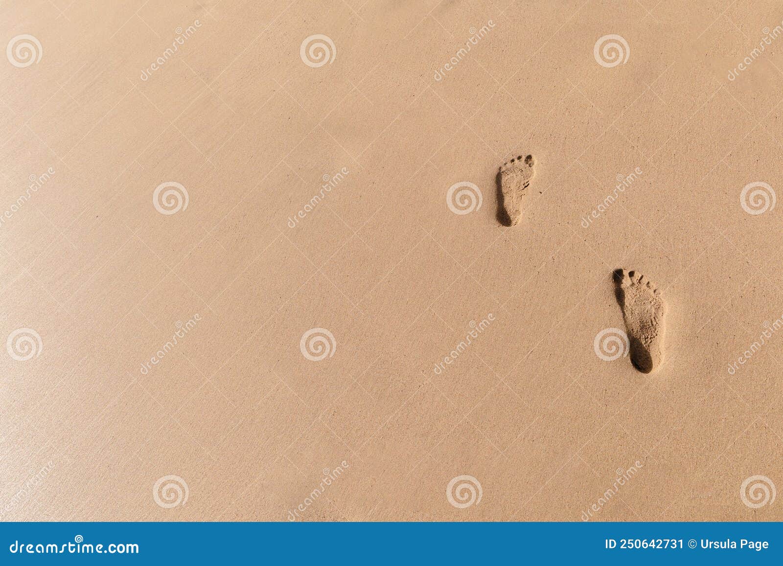 Two Footsteps in the Sand on a Walk in Maui Hawaii Stock Image - Image ...