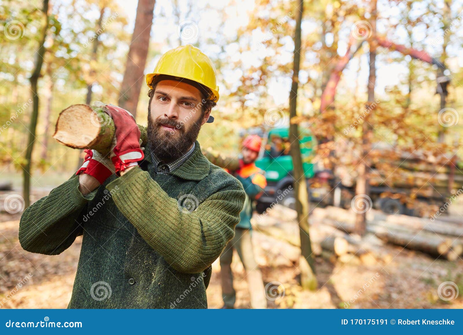 Two Forest Workers Carry a Tree Trunk Stock Image - Image of protective ...