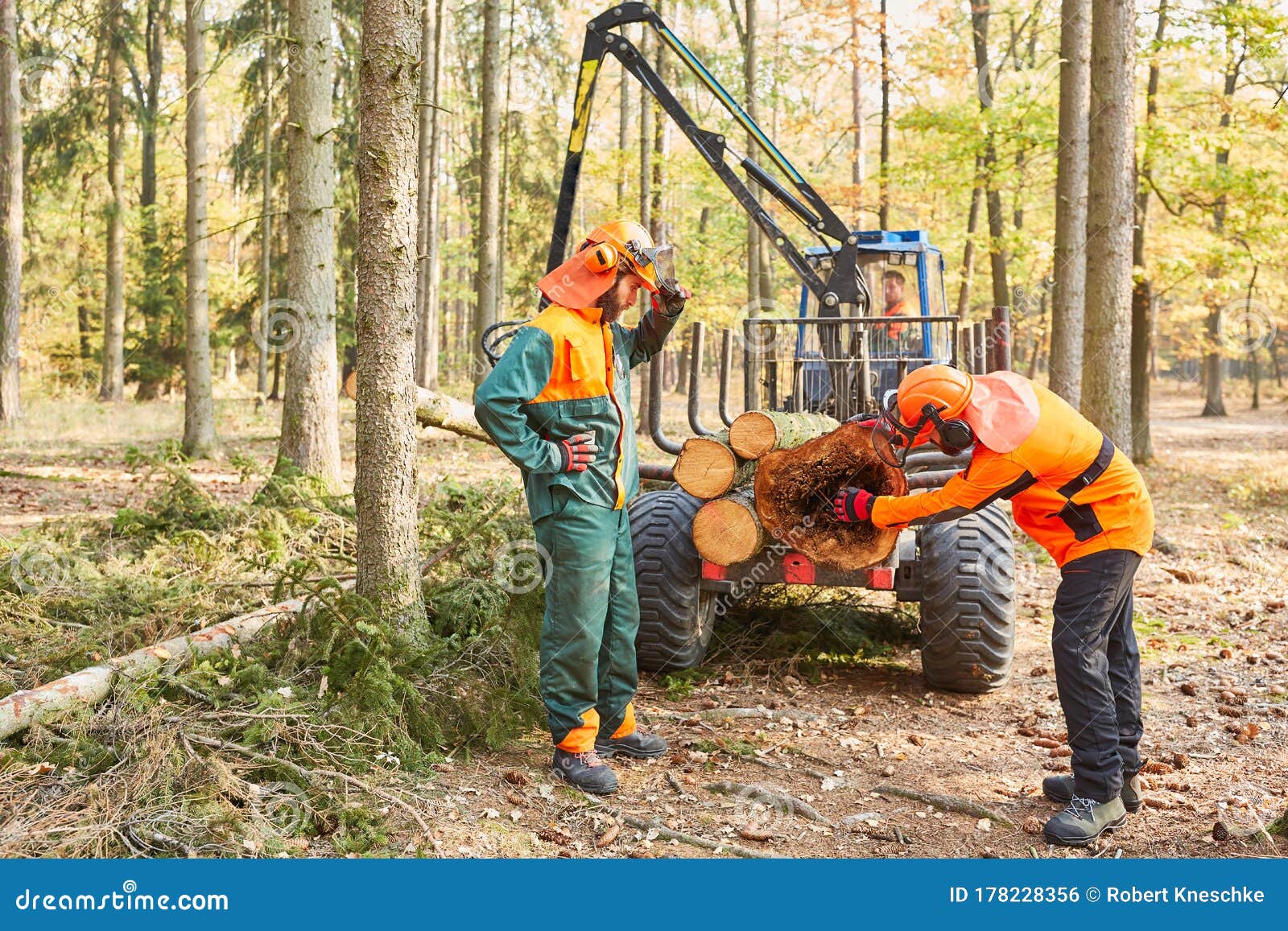 Two Forest Workers Control Pest Infestation Stock Photo - Image of ...