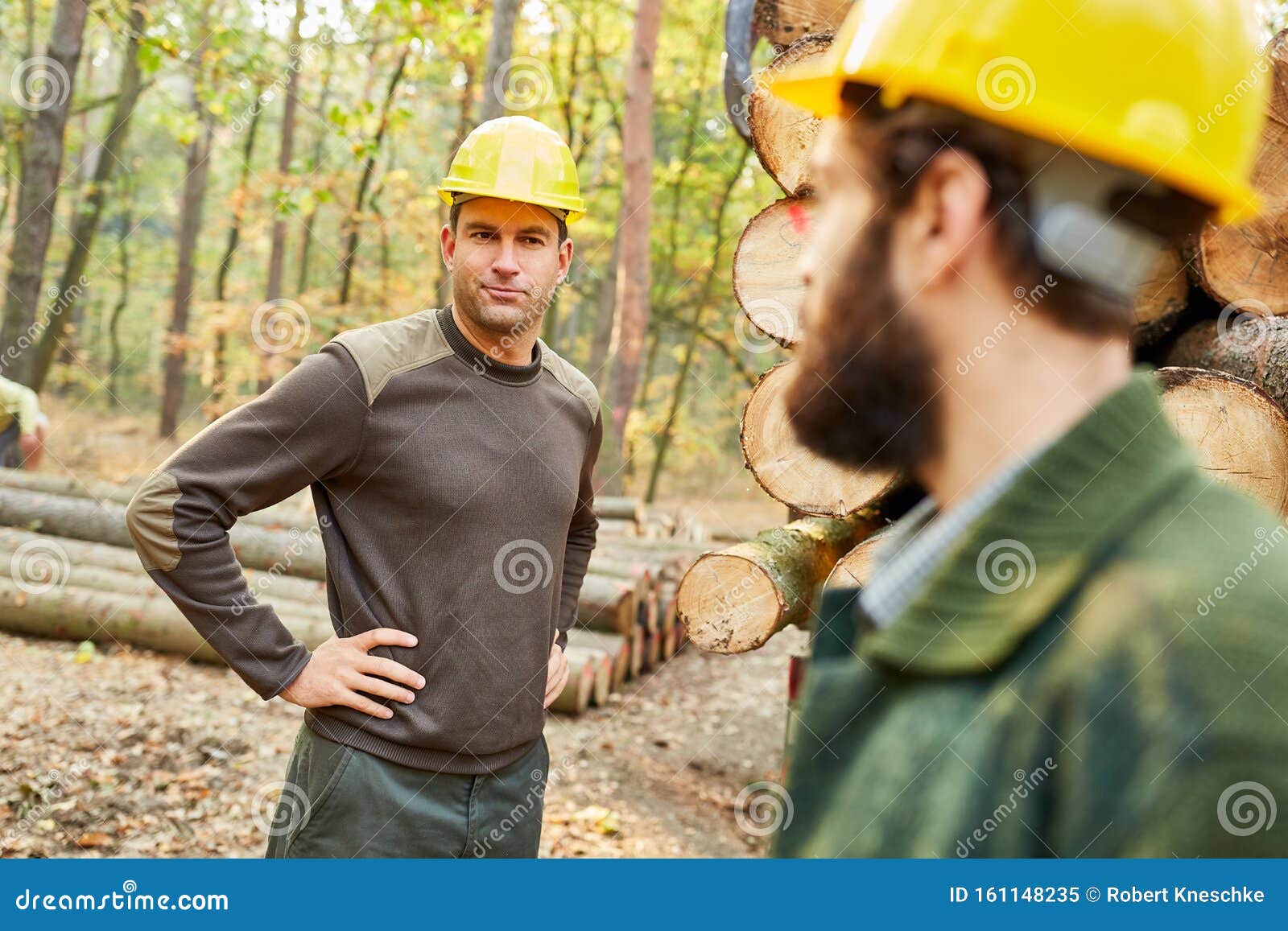 Forest Workers Transporting the Felled Trees Stock Image - Image of ...