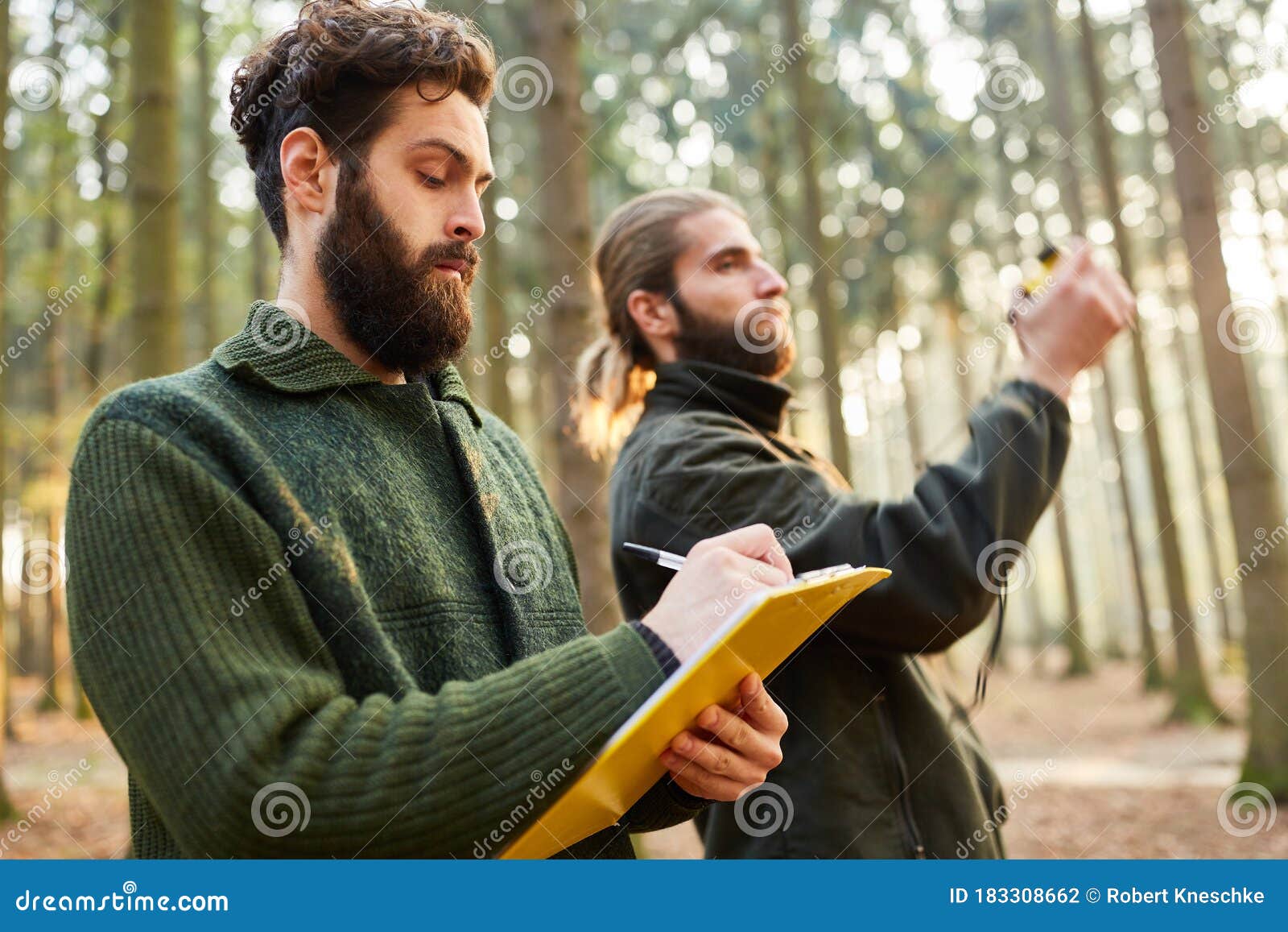 Foresters Measure Tree Height with Rangefinder Stock Photo - Image of ...