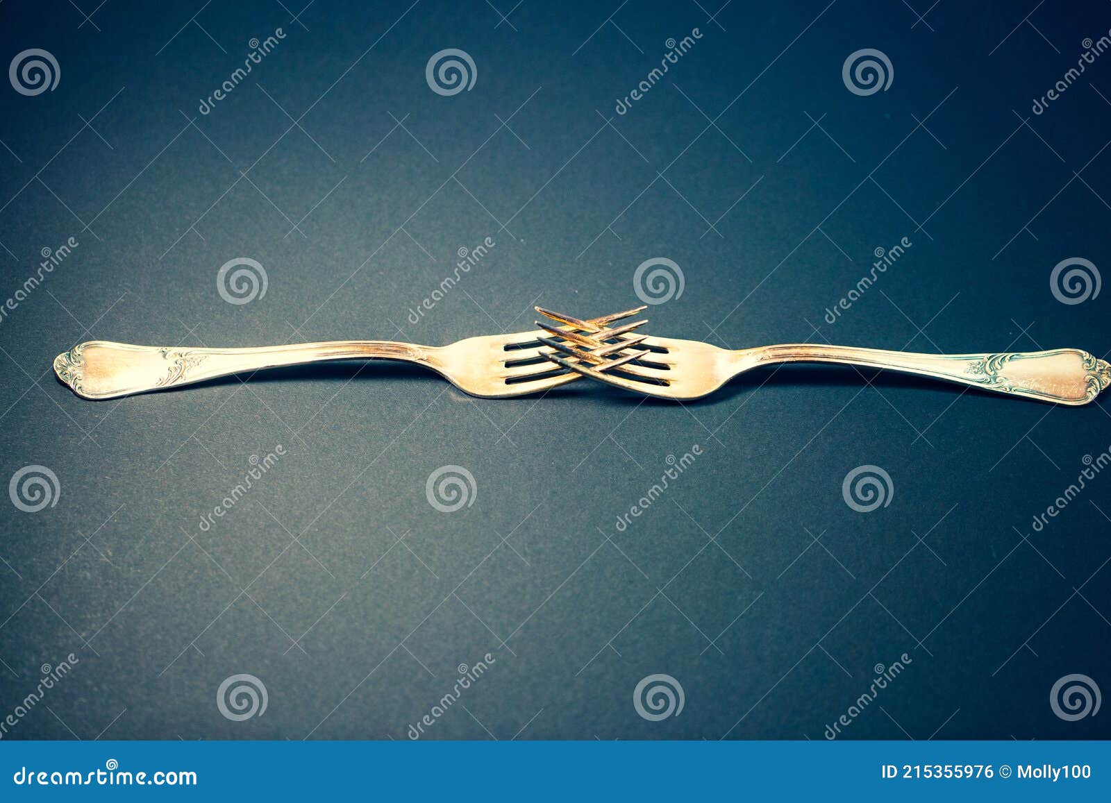 Two Forks on a Gray Background Stock Photo - Image of choose, park ...