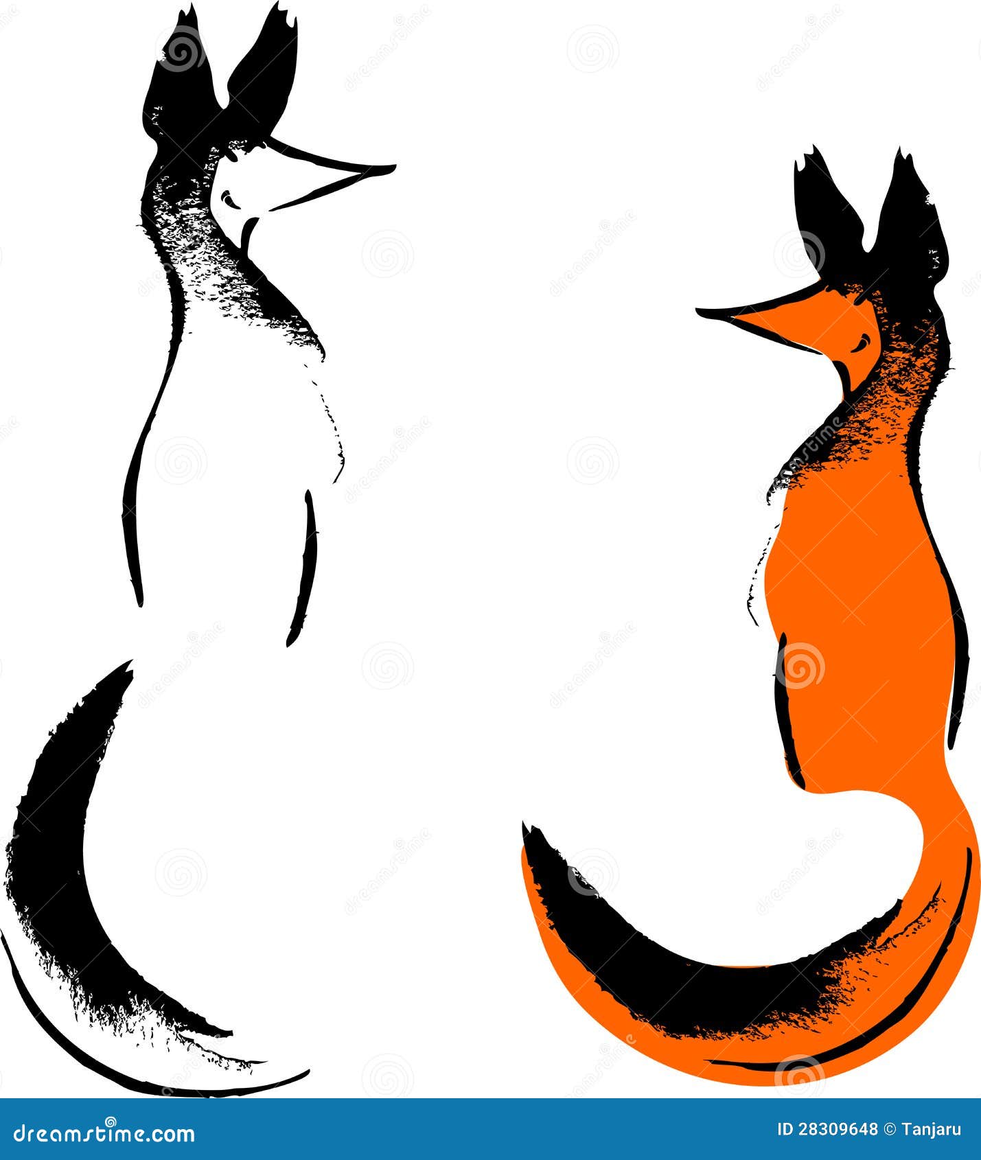 Two fox stock illustration. Illustration of glance, smart - 28309648
