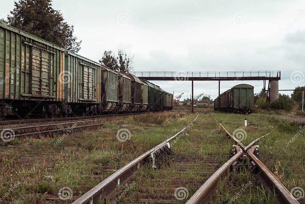 Two Freight Trains at the Platform Stock Photo - Image of close ...