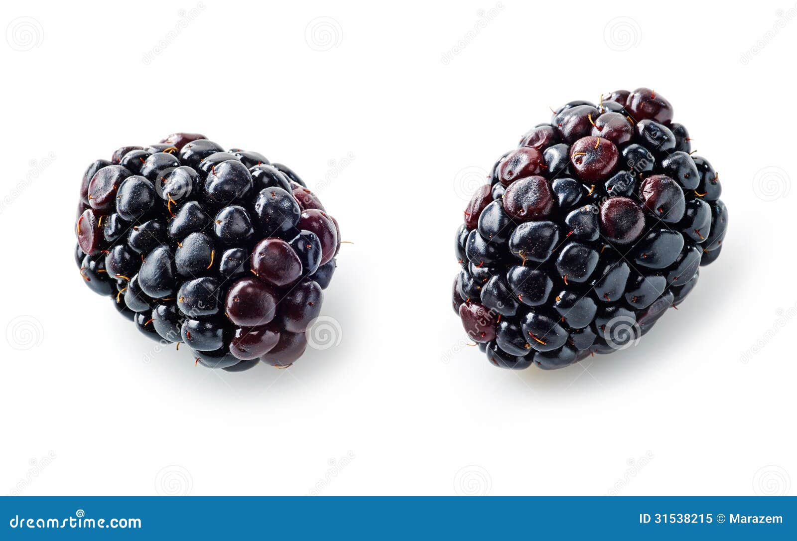 Two Fresh Blackberries Macro Stock Image - Image of black, vitamins ...