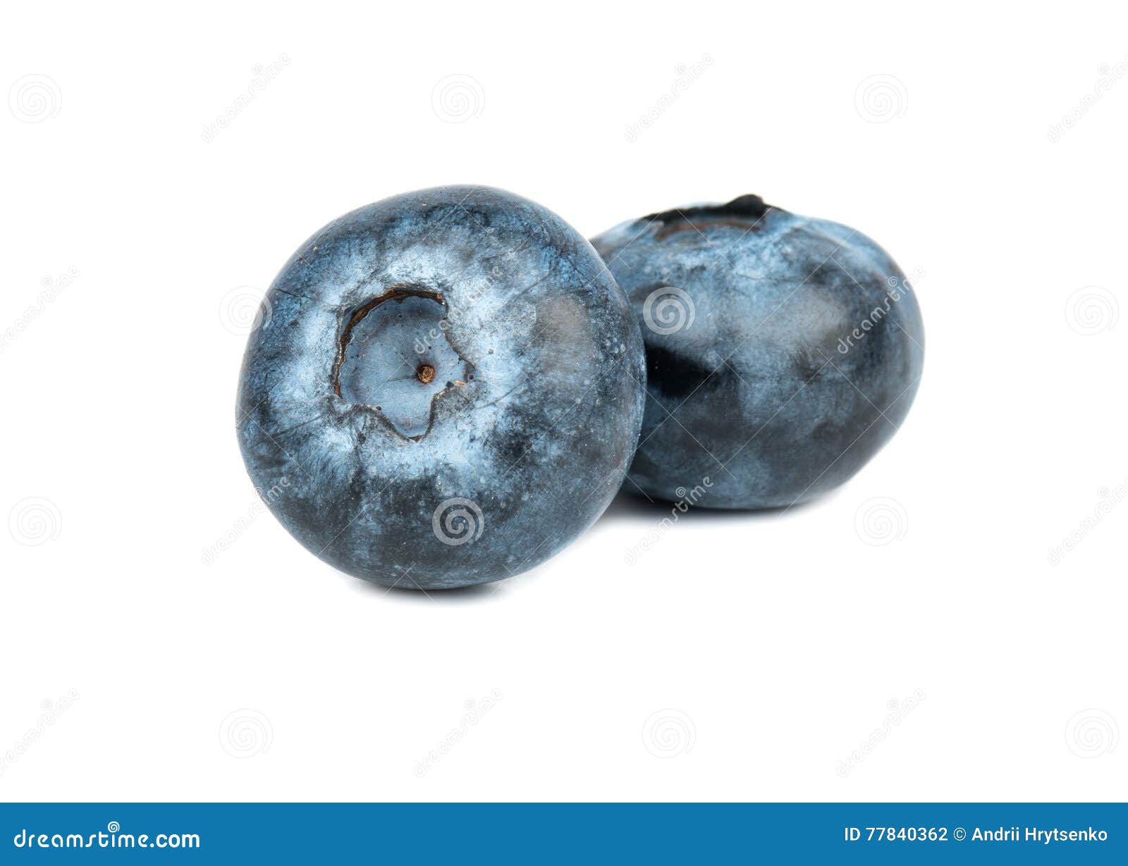 Two fresh blueberries stock photo. Image of delicious - 77840362