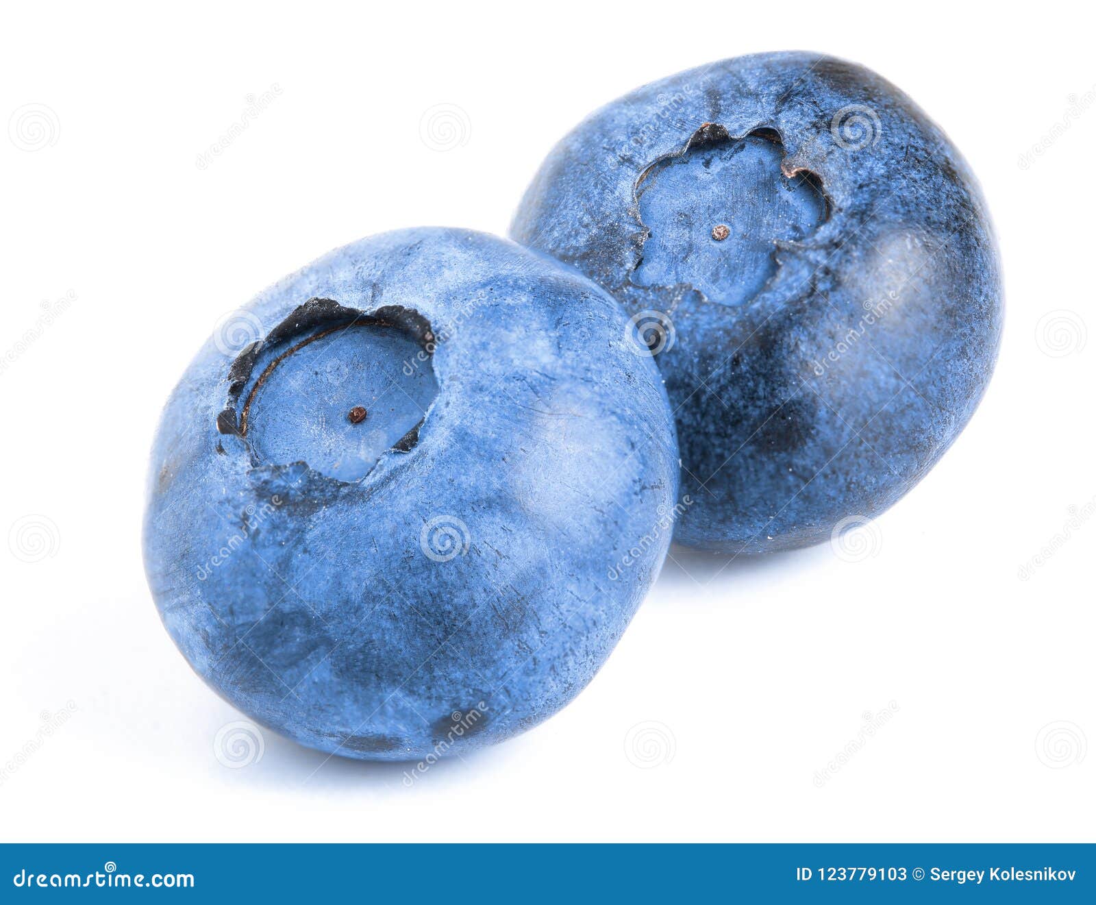 Two Fresh Blueberry Isolated on White Background Stock Image - Image of ...